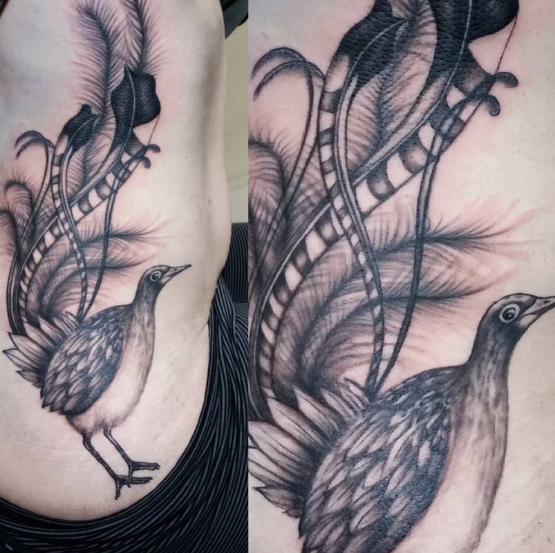 Lyrebird Tattoo